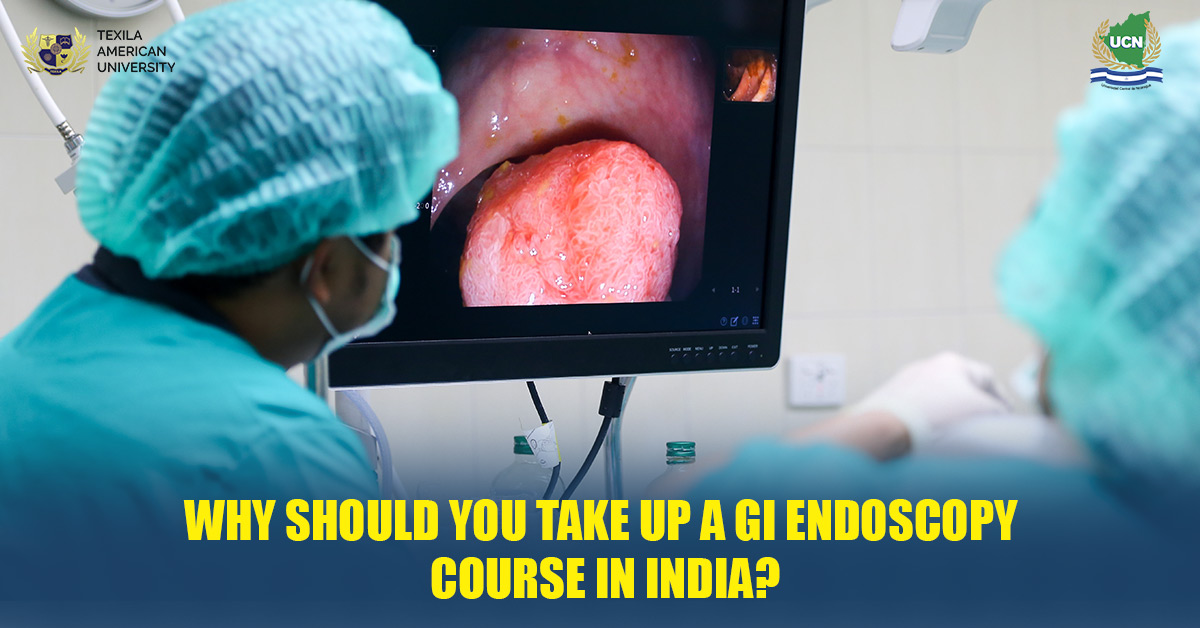 Why Should You Take up a GI Endoscopy Course in India?