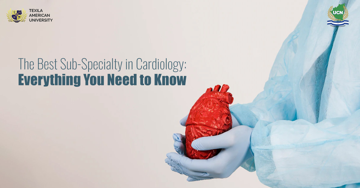 Best Sub-Specialty in Cardiology: All You Need to Know